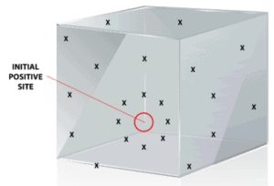 Vector Swabbing 101 - Safe Food Alliance