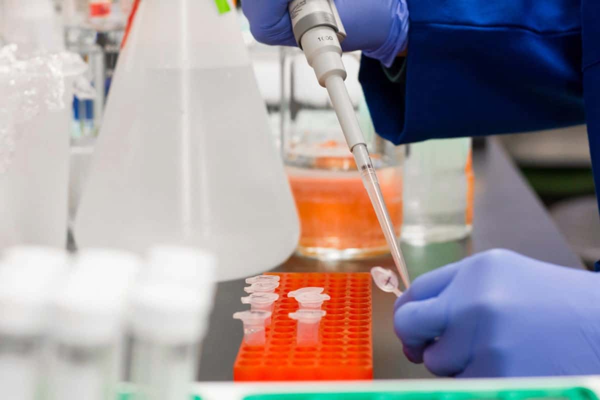 Food Safety Lab Testing - Safe Food Alliance